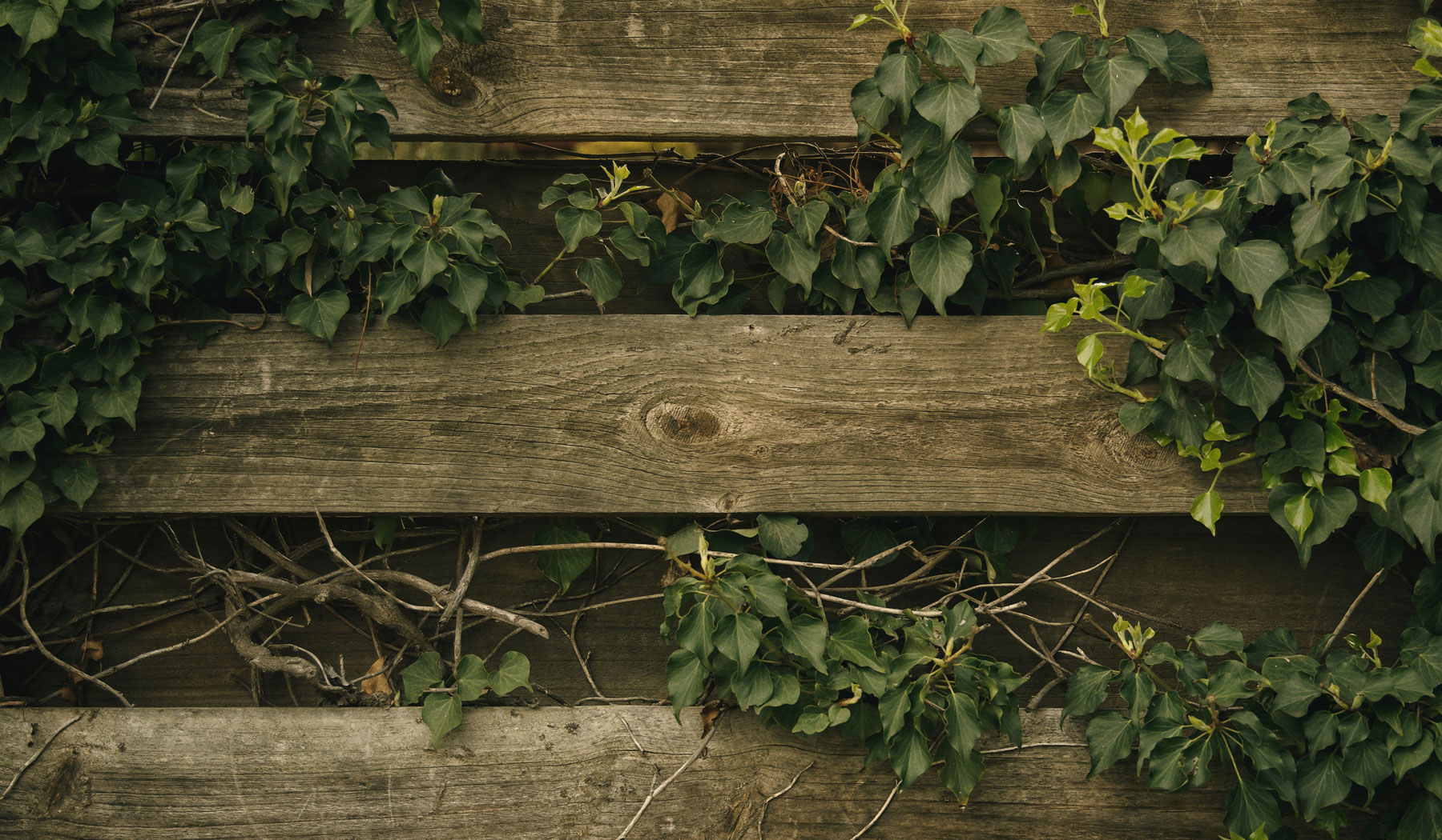 Laat God die swaar optelwerk doen - Joyce Meyer Ministries - Afrikaans