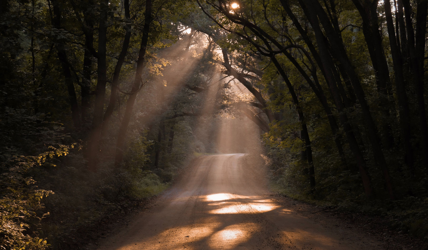 Ervaar ‘n nuwe begin - Joyce Meyer Ministries - Afrikaans